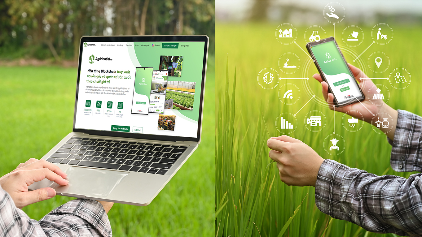 The Definition of Traceability