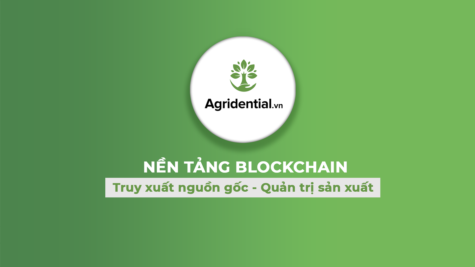 Vietnam Blockchain Corporation