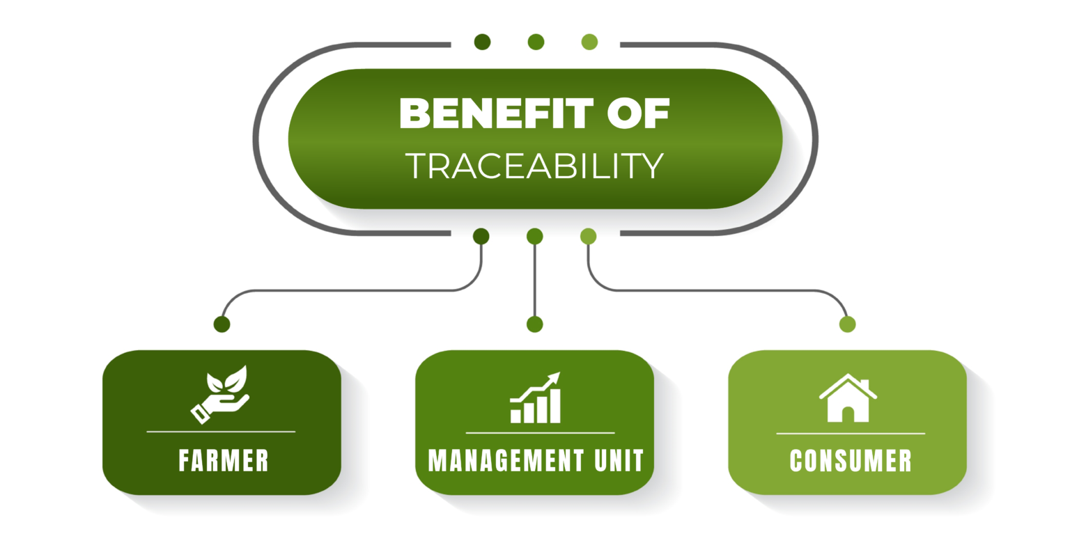 The Definition of Traceability