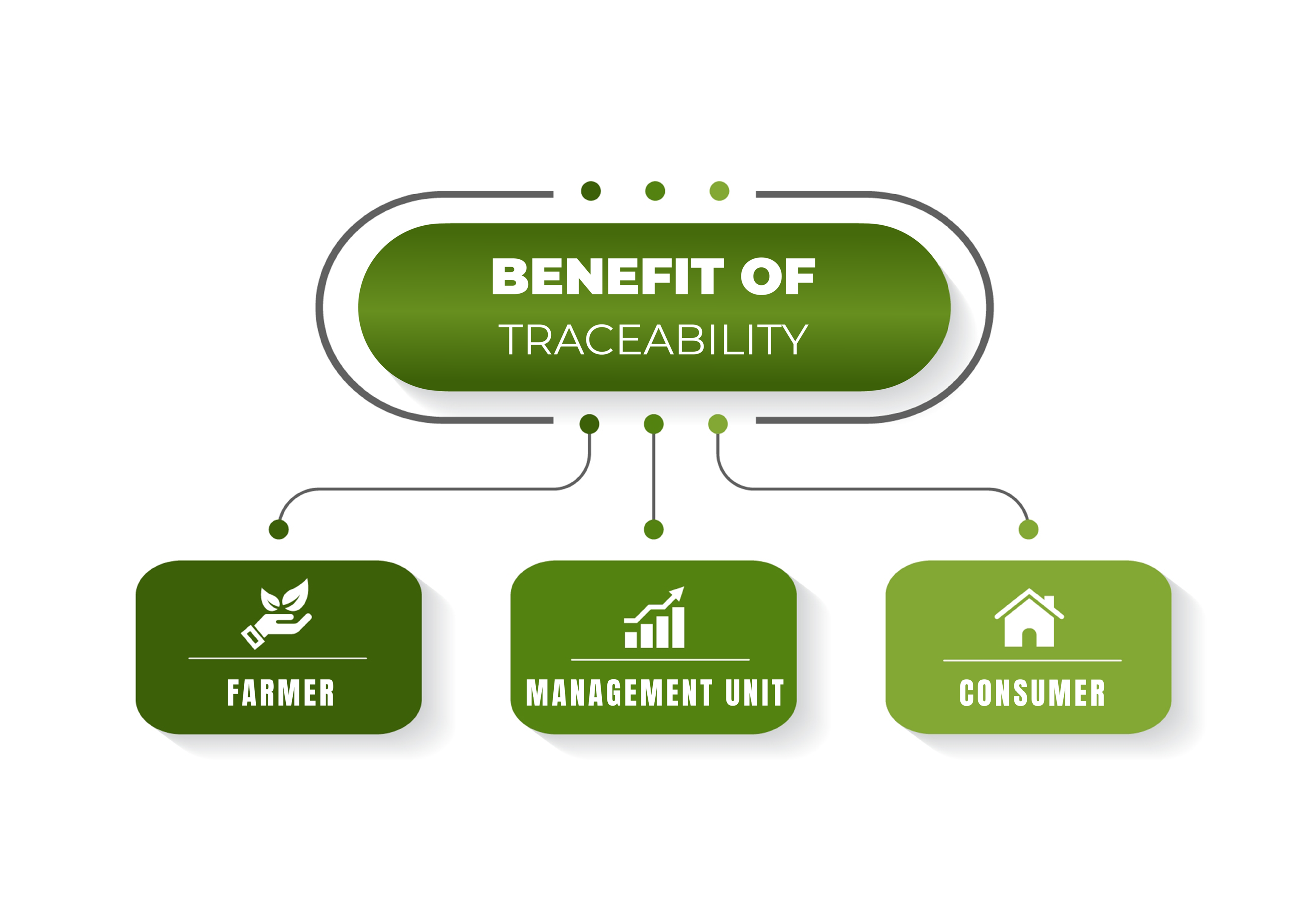 The Definition of Traceability