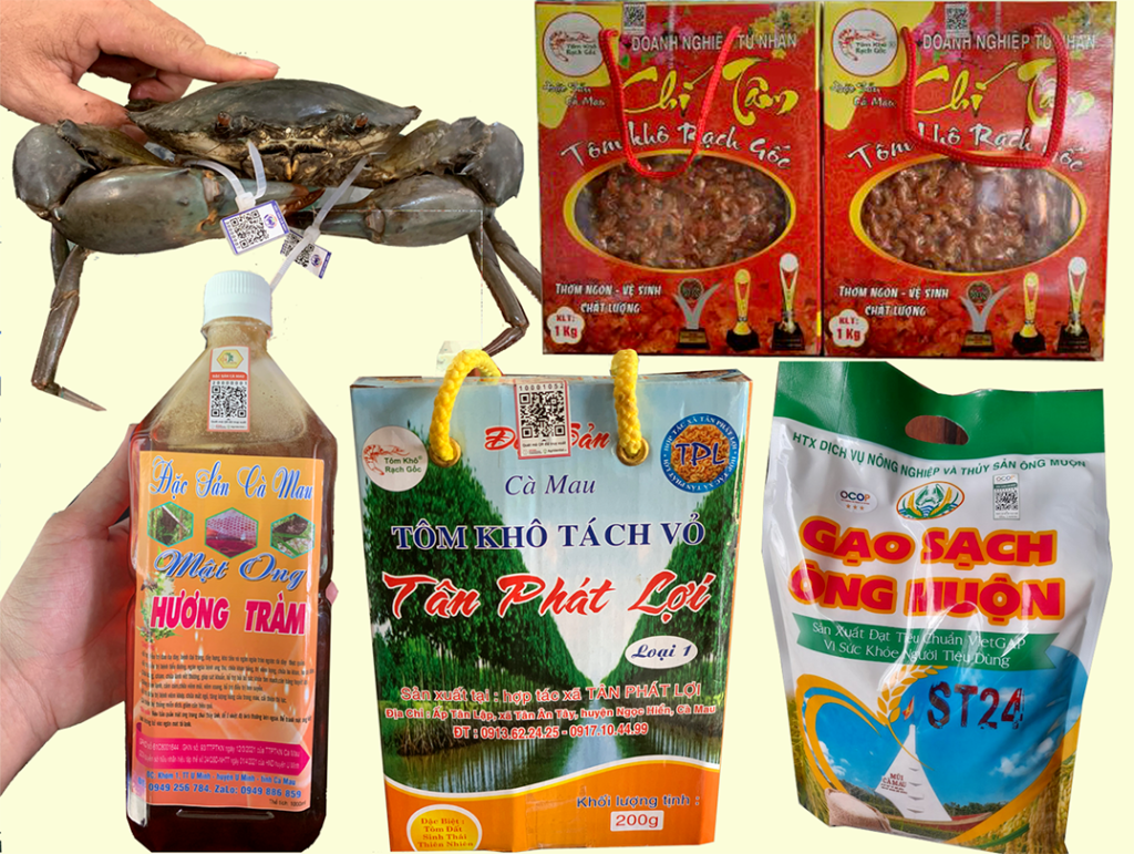 Vietnam Blockchain Corporation