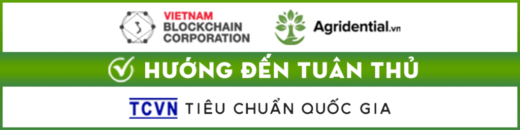 Vietnam Blockchain Corporation