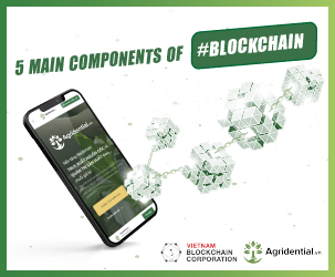 5 Basic Components of A Blockchain Network