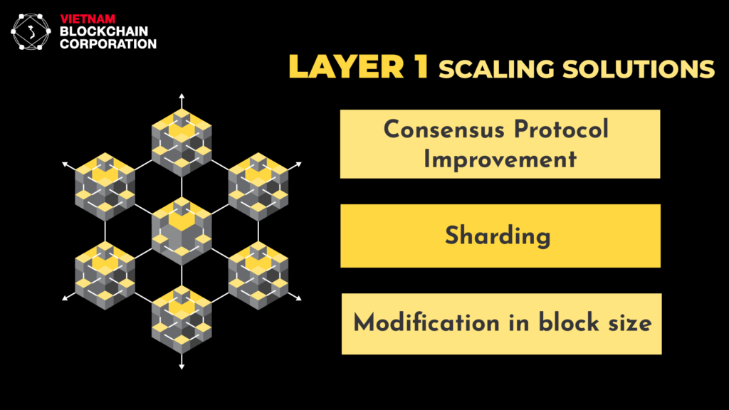 Vietnam Blockchain Corporation