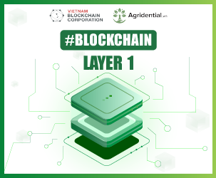 What is Blockchain Layer 1?