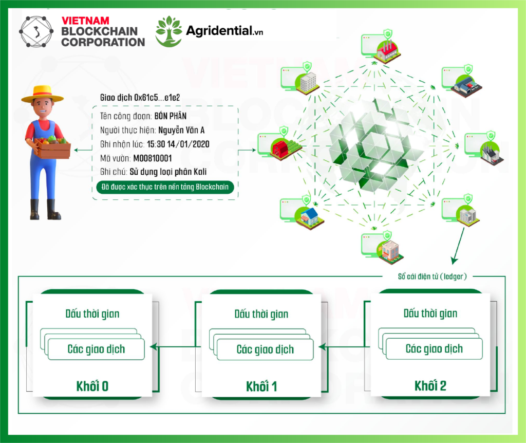 Các thuật ngữ Blockchain – Part 3