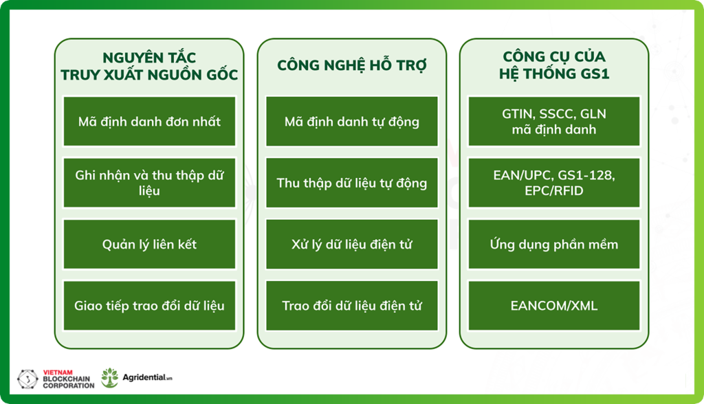 Xây dựng hệ thống Truy xuất nguồn gốc đảm bảo theo tiêu chuẩn GS1