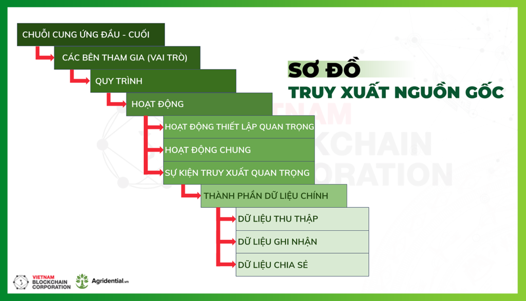 Xây dựng hệ thống Truy xuất nguồn gốc đảm bảo theo tiêu chuẩn GS1
