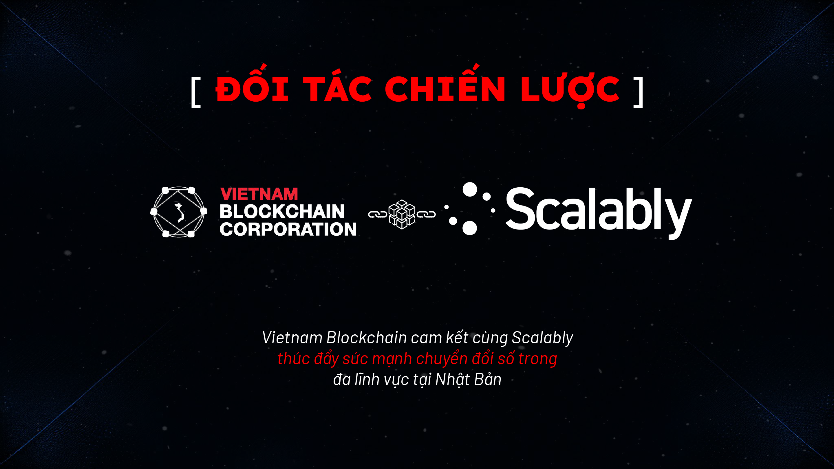 Vietnam Blockchain – Scalably: Hợp tác triển khai giải pháp trong ...